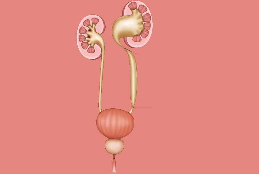 Dr. Naresh Garg || HOME